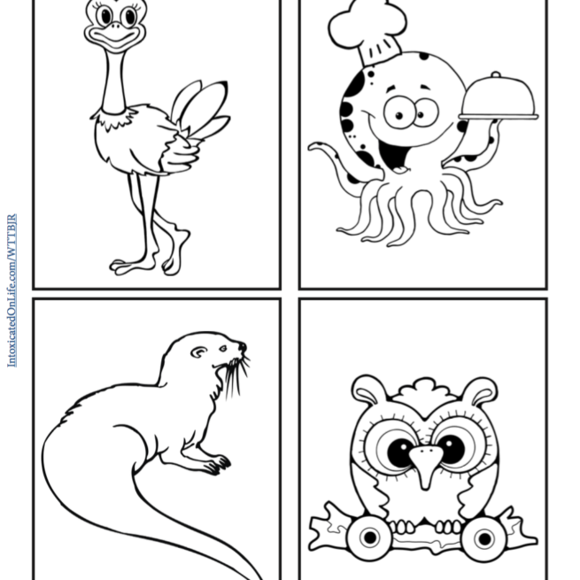 Early Learning Bundle - Intoxicated on Life Store