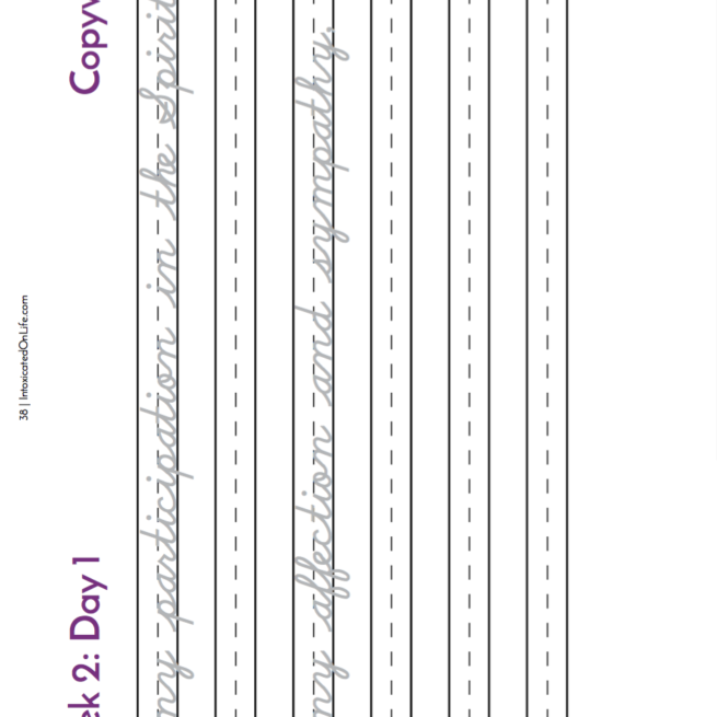 Philippians 2:1-18 Intermediate Workbooks - Intoxicated on Life Store