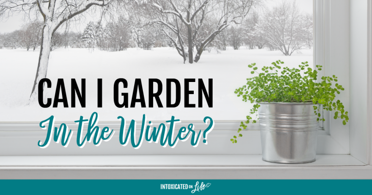 Can I Garden in the Winter?