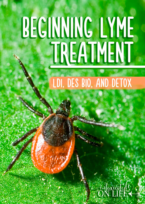Beginning Lyme Treatment: LDI, Des Bio, and Detox