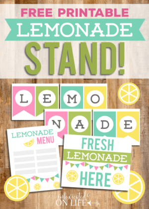 Homemade Lemonade with a Sugar-Free Option (and FREE Lemonade Stand ...