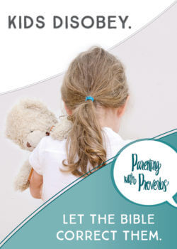 Parenting with Proverbs: Art of Correction with Biblical Wisdom