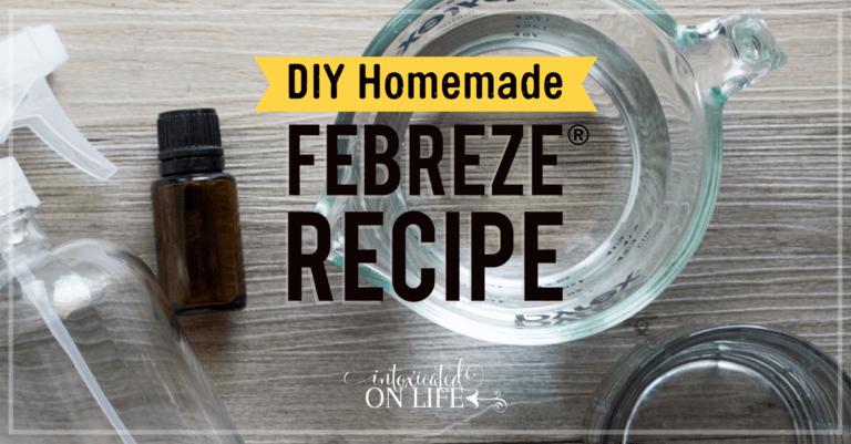 DIY Homemade Febreze ® Recipe | Intoxicated on Life