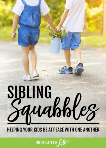 Sibling Squabbles: helping your kids be at peace with one another