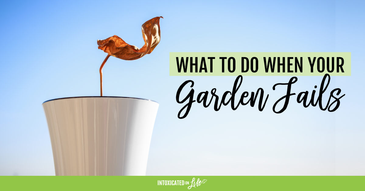 What To Do When Your Garden Fails