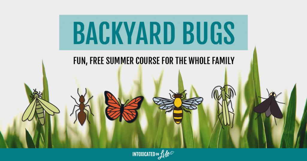Backyard Bugs! Fun, Free Summer Course for the Whole Family